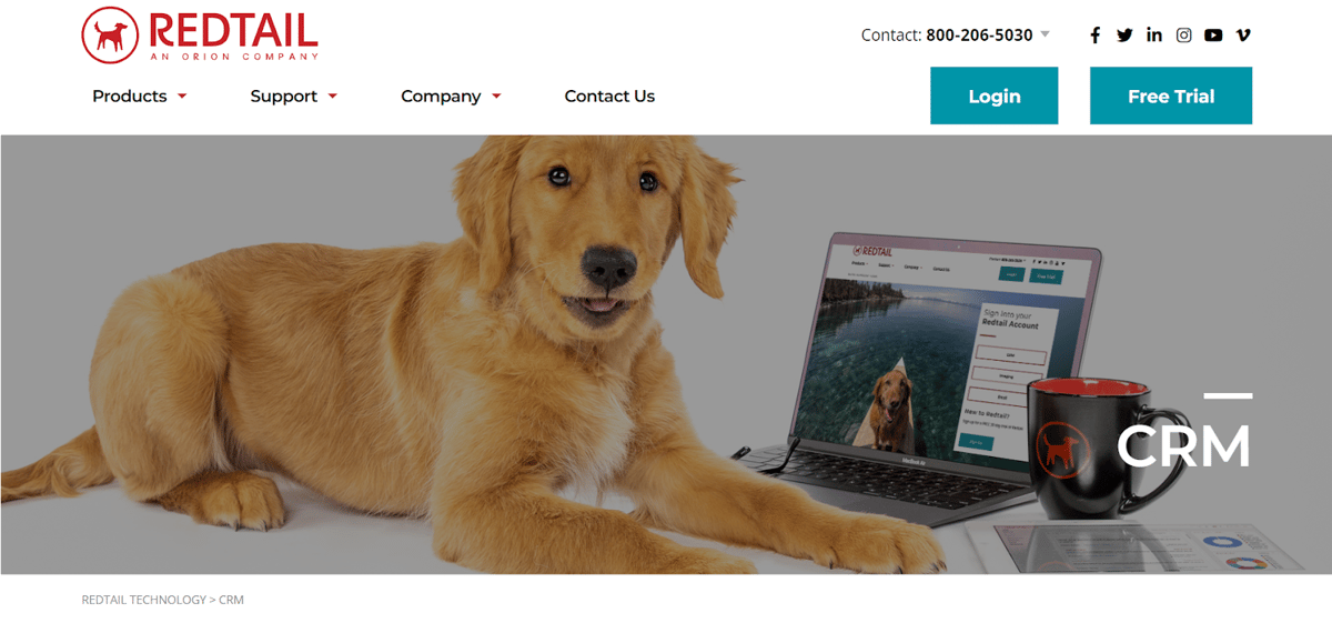 CRM in Financial Services: A Detailed Guide