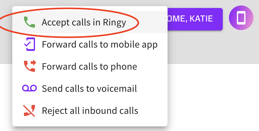 Call Forwarding Options